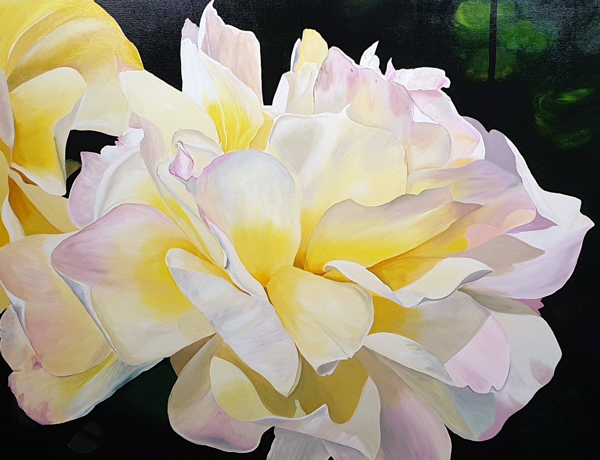 Yellow rose, 80x100cm – Sylvia Eder Art