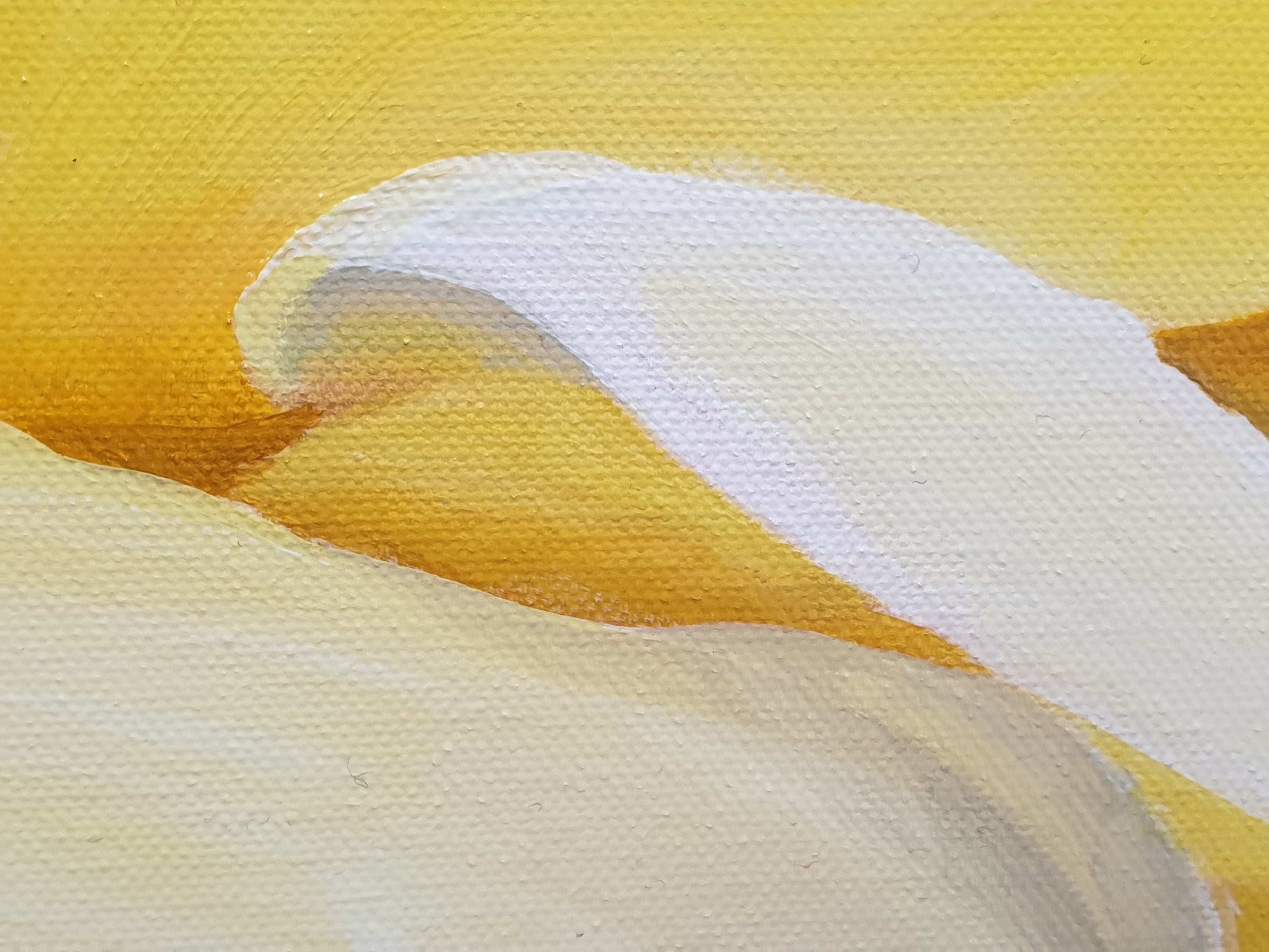 Yellow rose, 80x100cm – Sylvia Eder Art