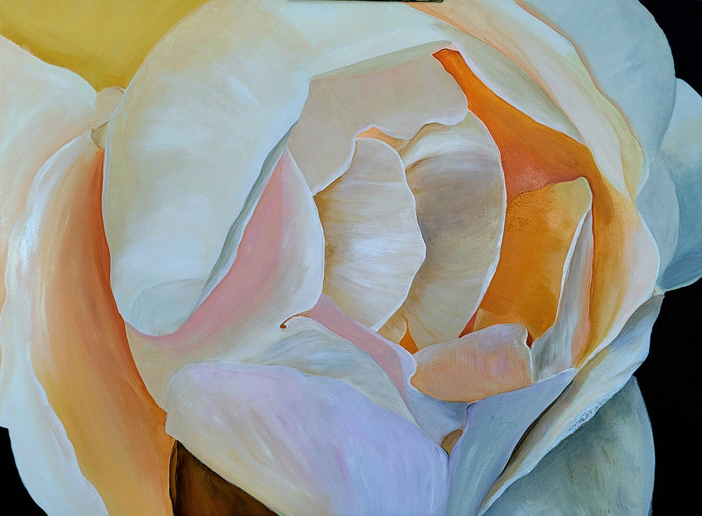 Rose in Amsterdam, 60x80cm – Sylvia Eder Art